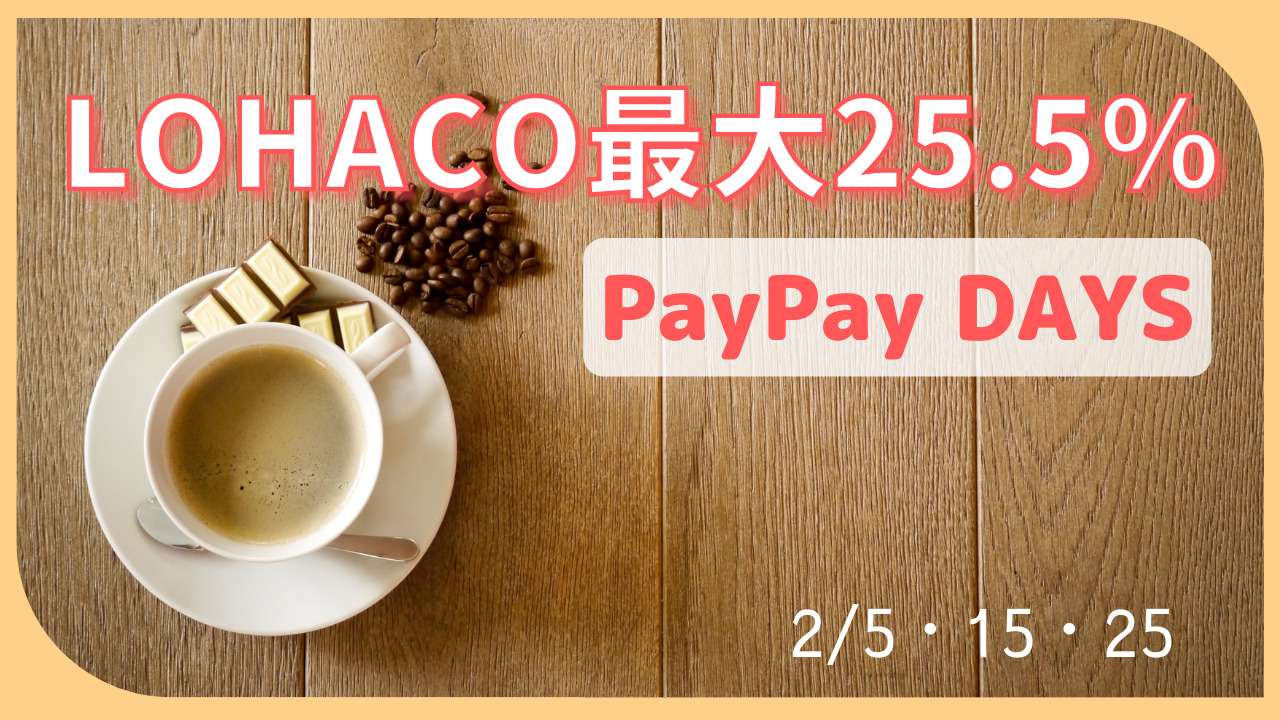 LOHACO最大25.5%!PayPay DAYSでの損をしないお得な買い方を徹底解説 | おトクメガホン